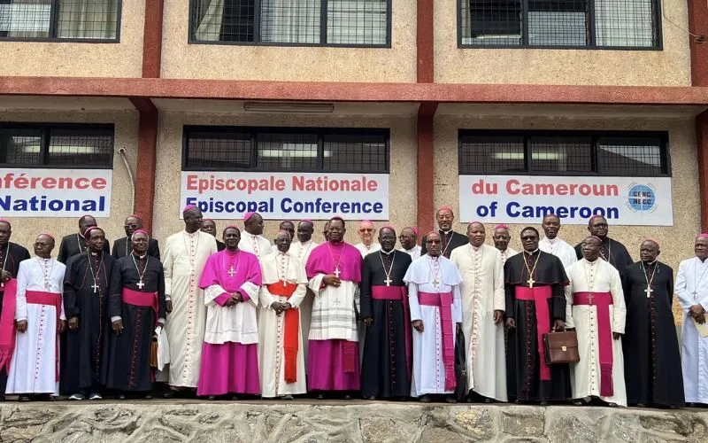 Cardinal Sarah Urges Africa’s Catholic Bishops to Defend “unity of ...