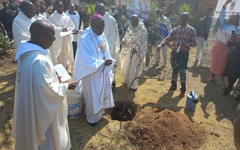 Catholic Commission Promoting “environmental justice” in Southern ...