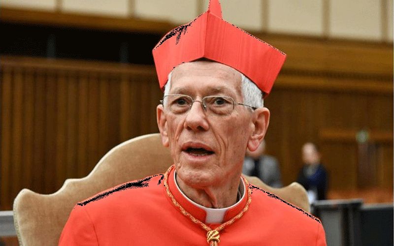 Going beyond Ethnicity among Cardinal’s Guidelines to Eligible Voters ...