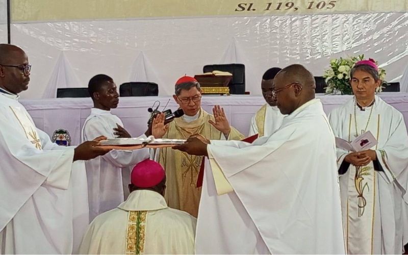 Vatican Cardinal Calls on New Mozambican Bishop to “be humble, resist ...