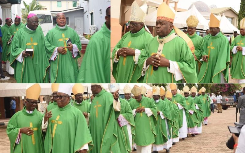 Catholic Bishops Determined to “weed out” Priests Soiling Image of the ...