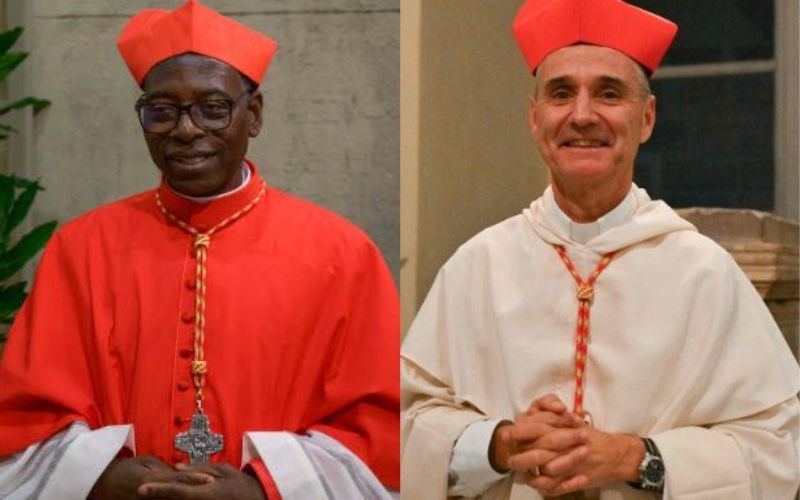 The Two Newly Created Cardinals in Africa Appointed to Vatican ...