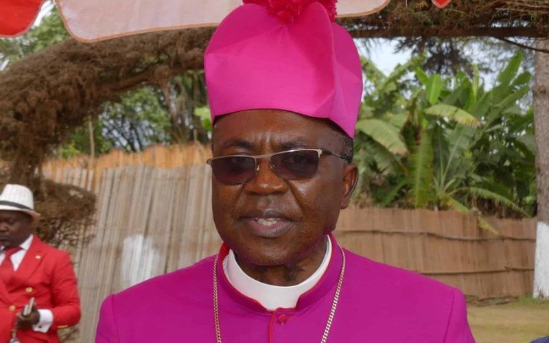 Catholic Bishop in Cameroon Says Hate Speech, Misinformation Not ...