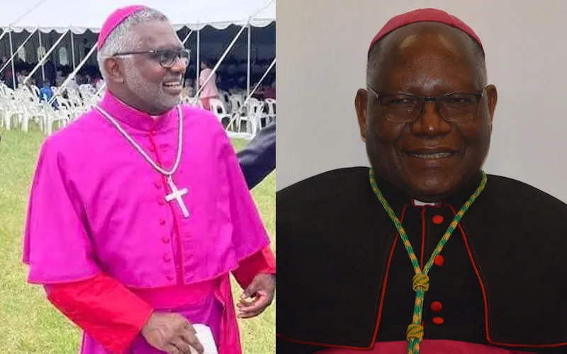 Pope Francis Accepts Retirement of Bishop of South African Diocese, Appoints Successor